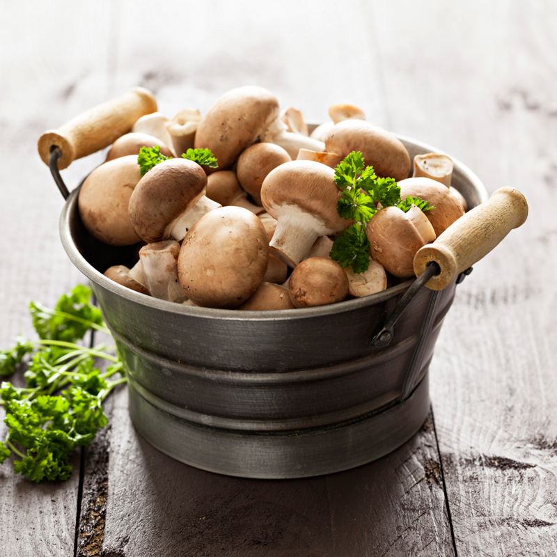 Las setas: de plena temporada - Mercabilbao