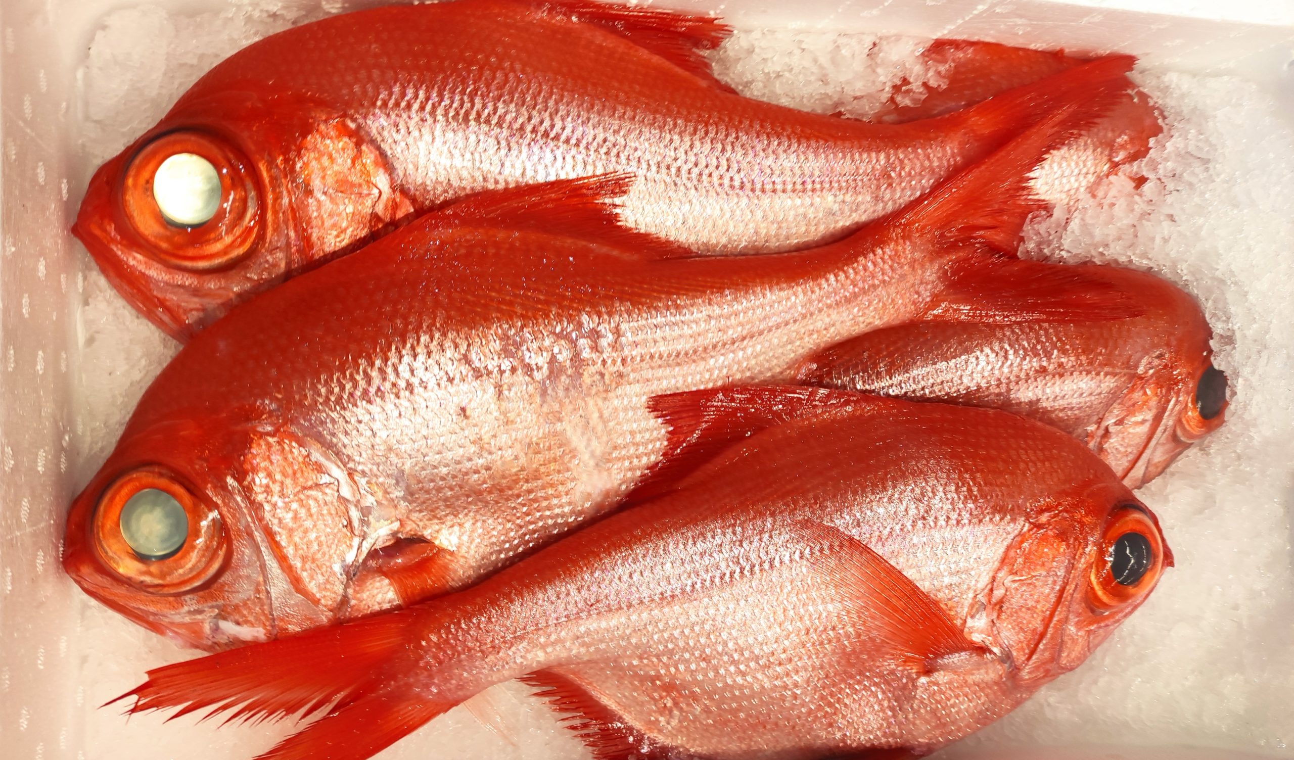 Alimentos de temporada: fruta de verano, espárragos blancos y palometa ...